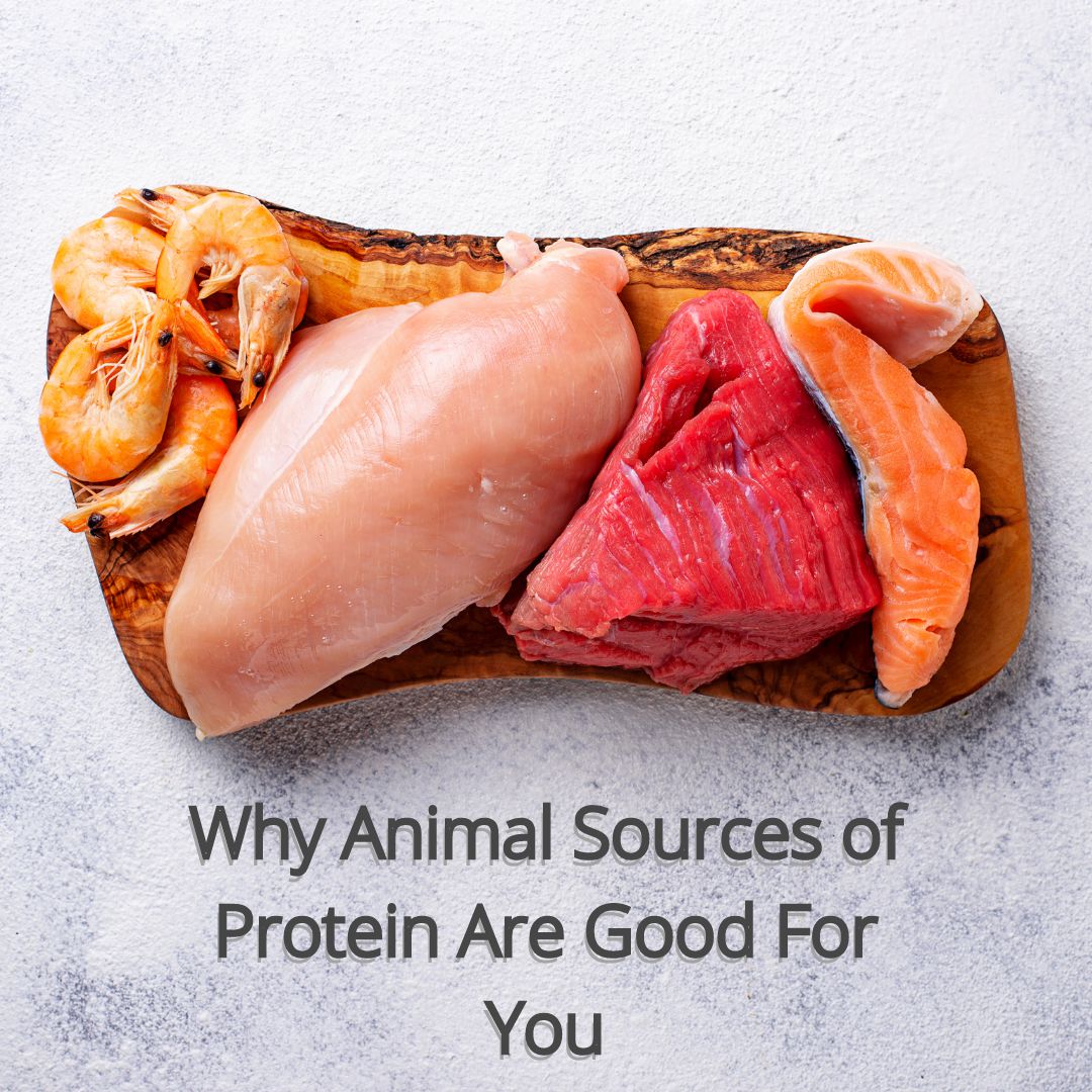 Why Animal Protein Is Good and How Much To Consume - Natural Health Rising